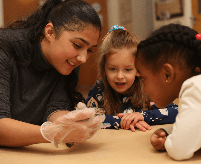 Find your nursery - LEYF Nurseries