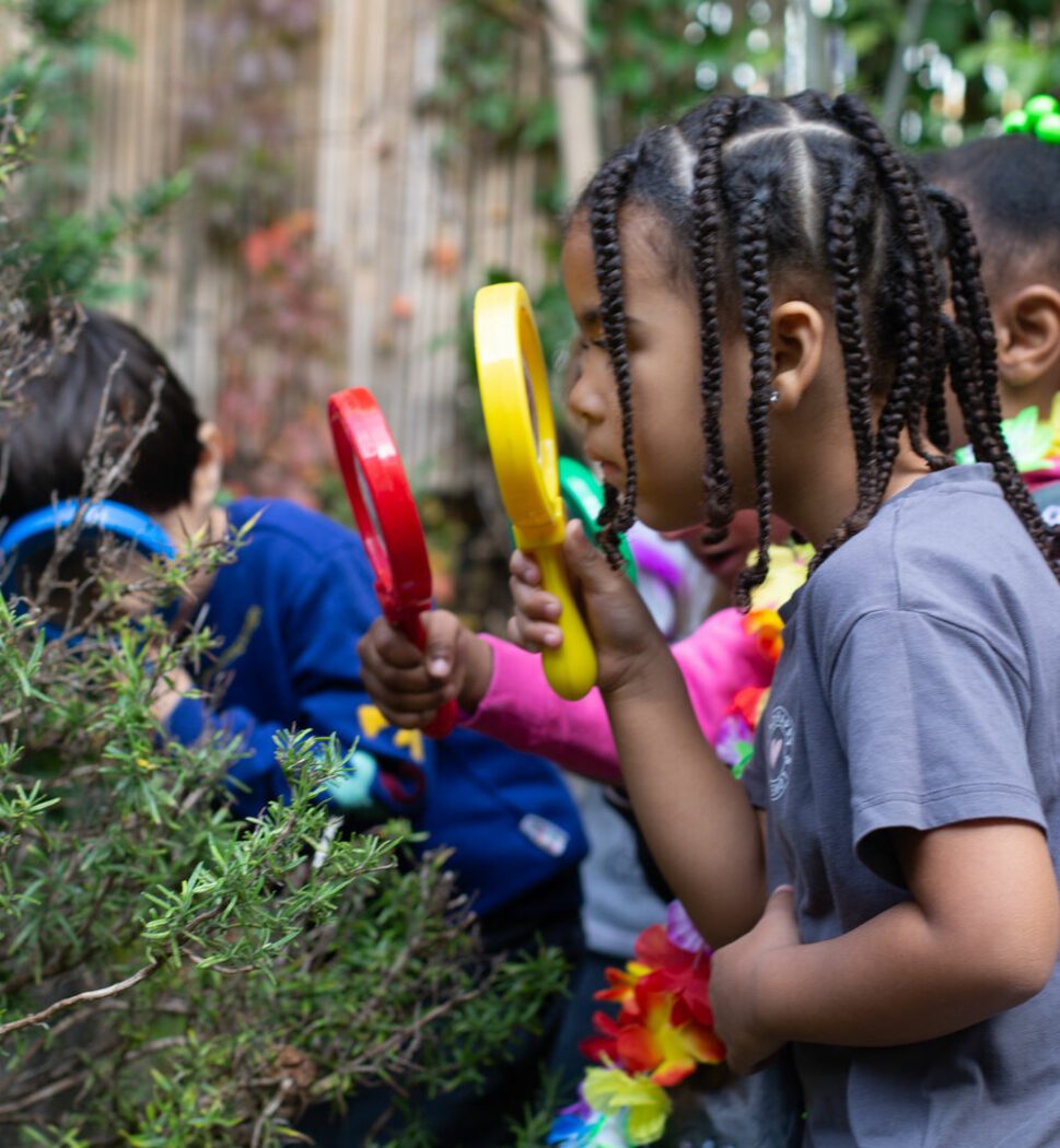 LEYF launches new Level 4 Sustainability Qualification - LEYF Nurseries